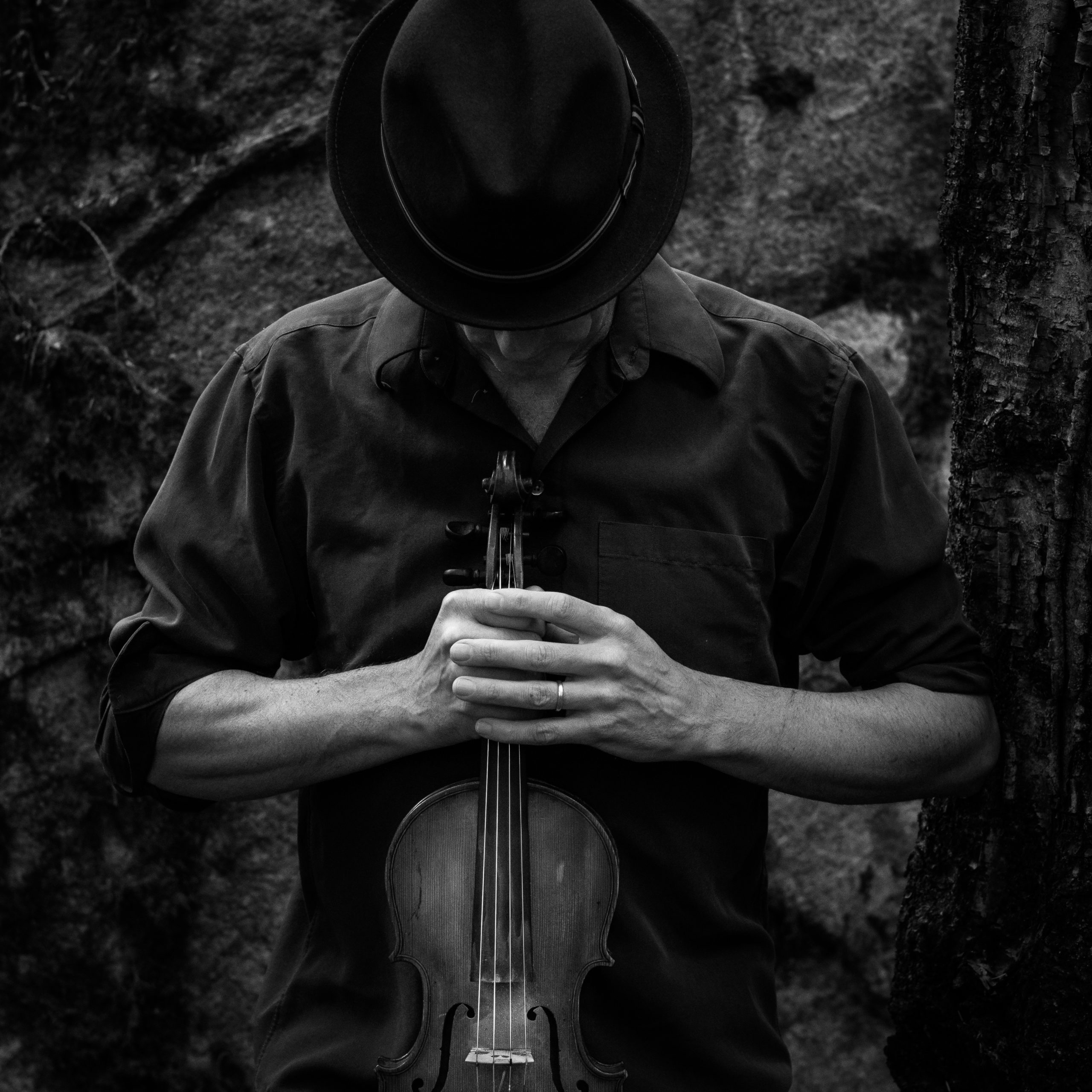 OLYMPUS DIGITAL CAMERA – DON MACDONALD